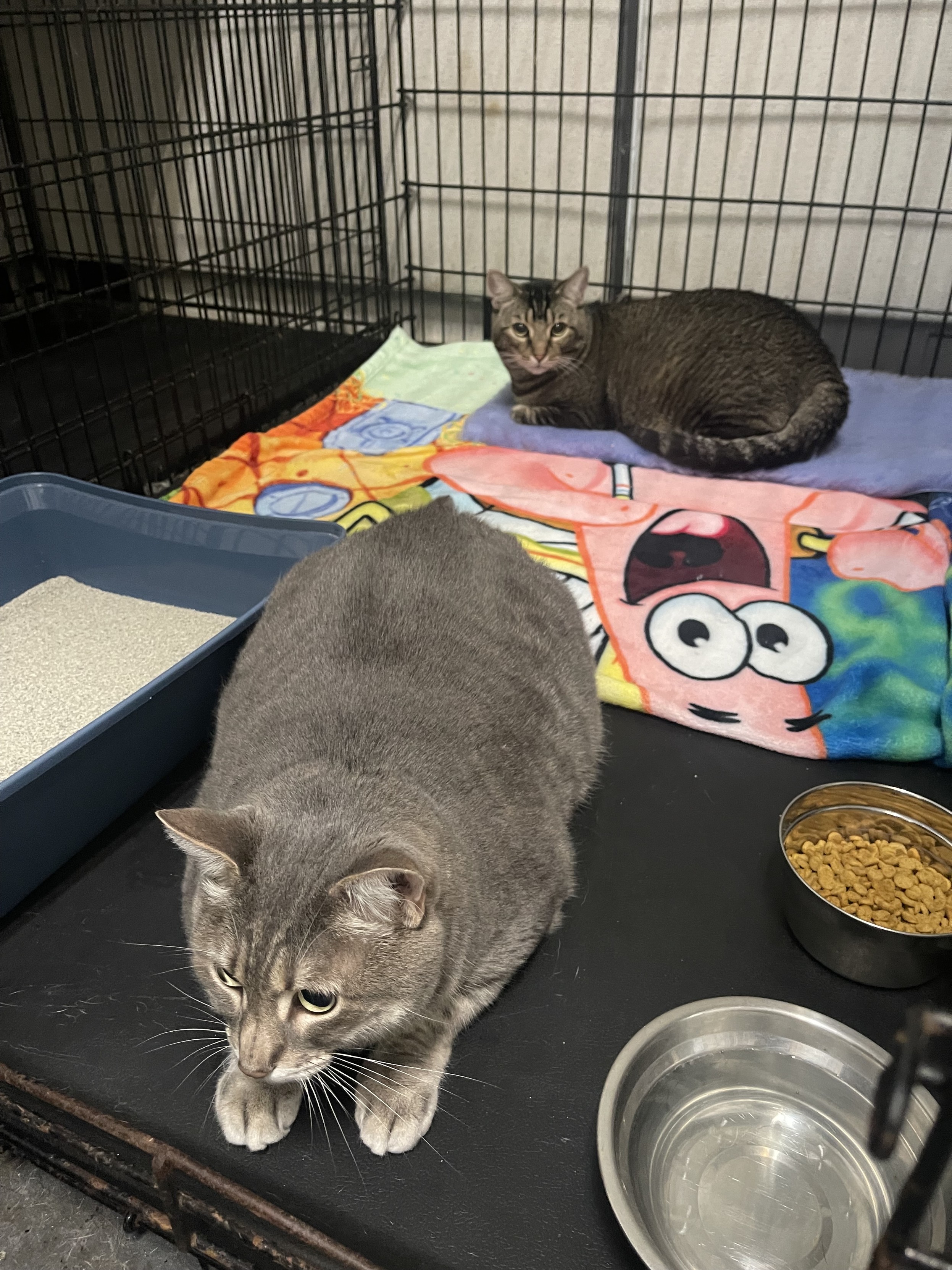 ℕancym (@nm@mathstodon.xyz) - Mathstodon