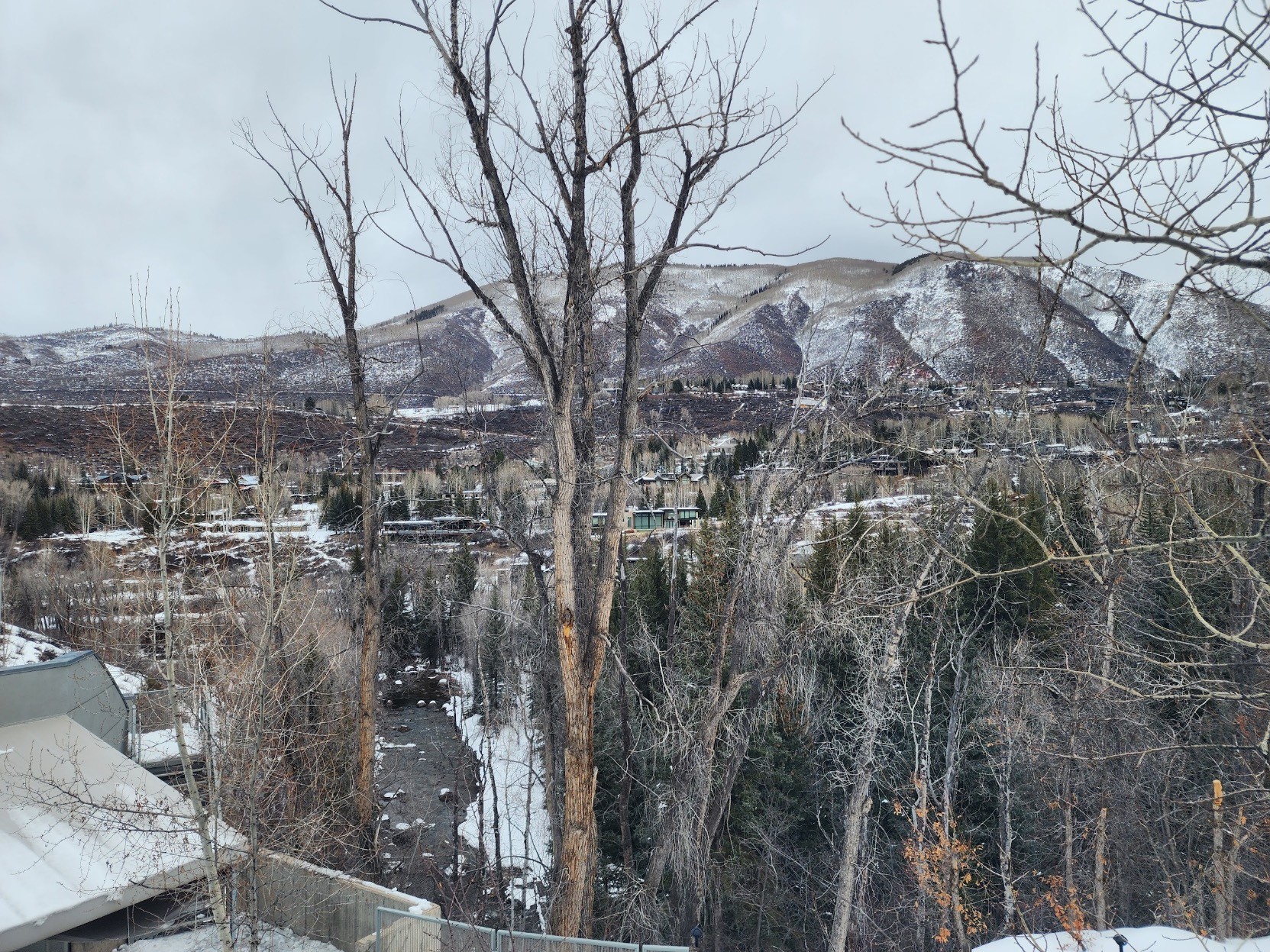 Greg Yang (@thegregyang@mathstodon.xyz) - Mathstodon