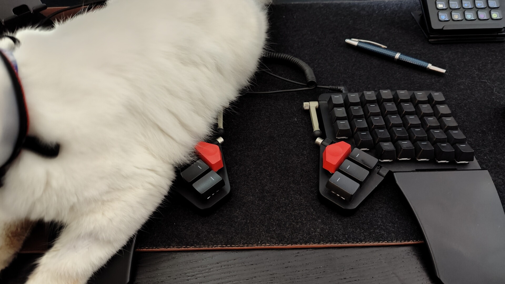 Abhinav Tushar (@lepisma@mathstodon.xyz) - Mathstodon