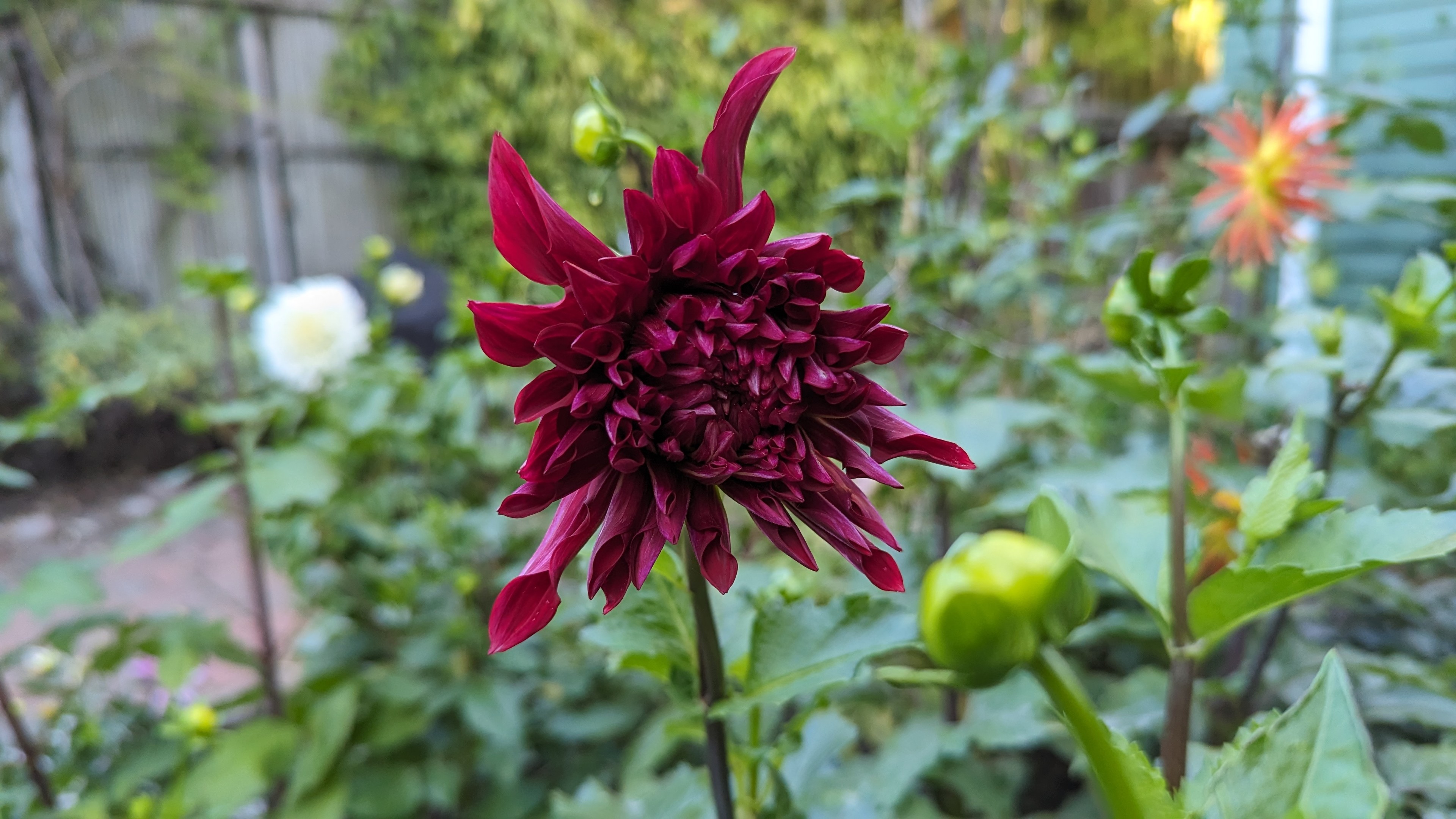 Benjamin Leis (@benleis@mathstodon.xyz) - Mathstodon