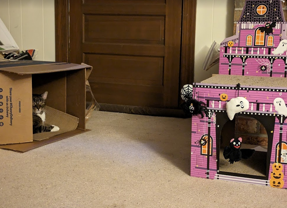 Ryan Ruff (@suburbanlion@mathstodon.xyz) - Mathstodon