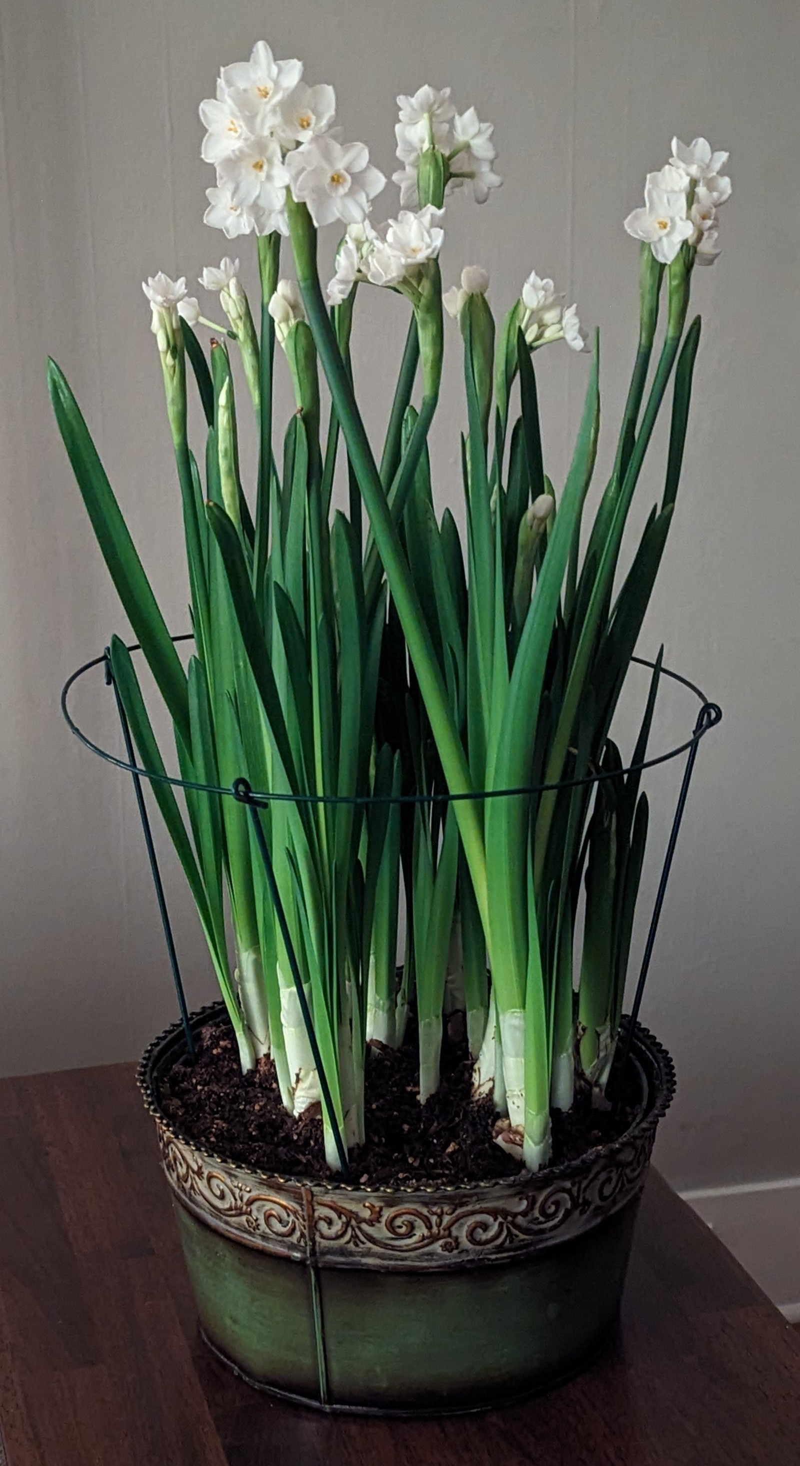 Benjamin Leis (@benleis@mathstodon.xyz) - Mathstodon