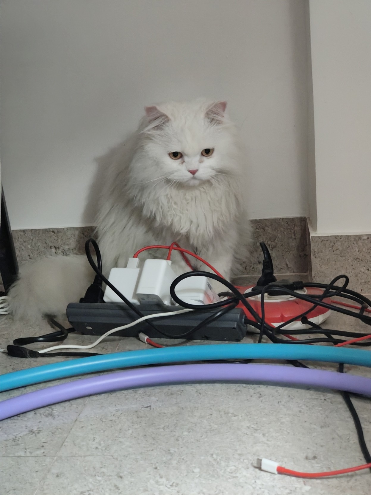 Abhinav Tushar (@lepisma@mathstodon.xyz) - Mathstodon