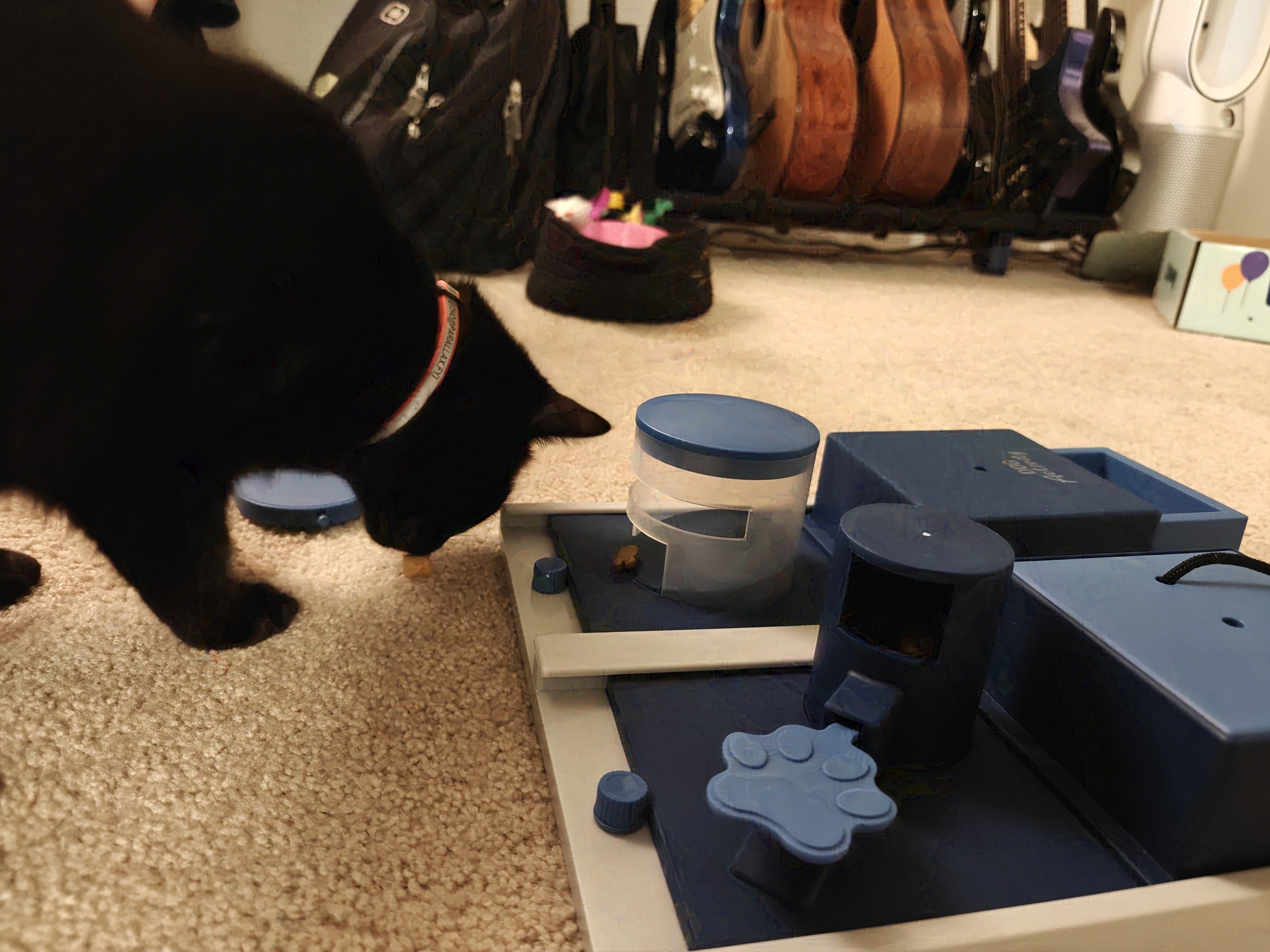 Nia Bickford (@echoparallax@mathstodon.xyz) - Mathstodon