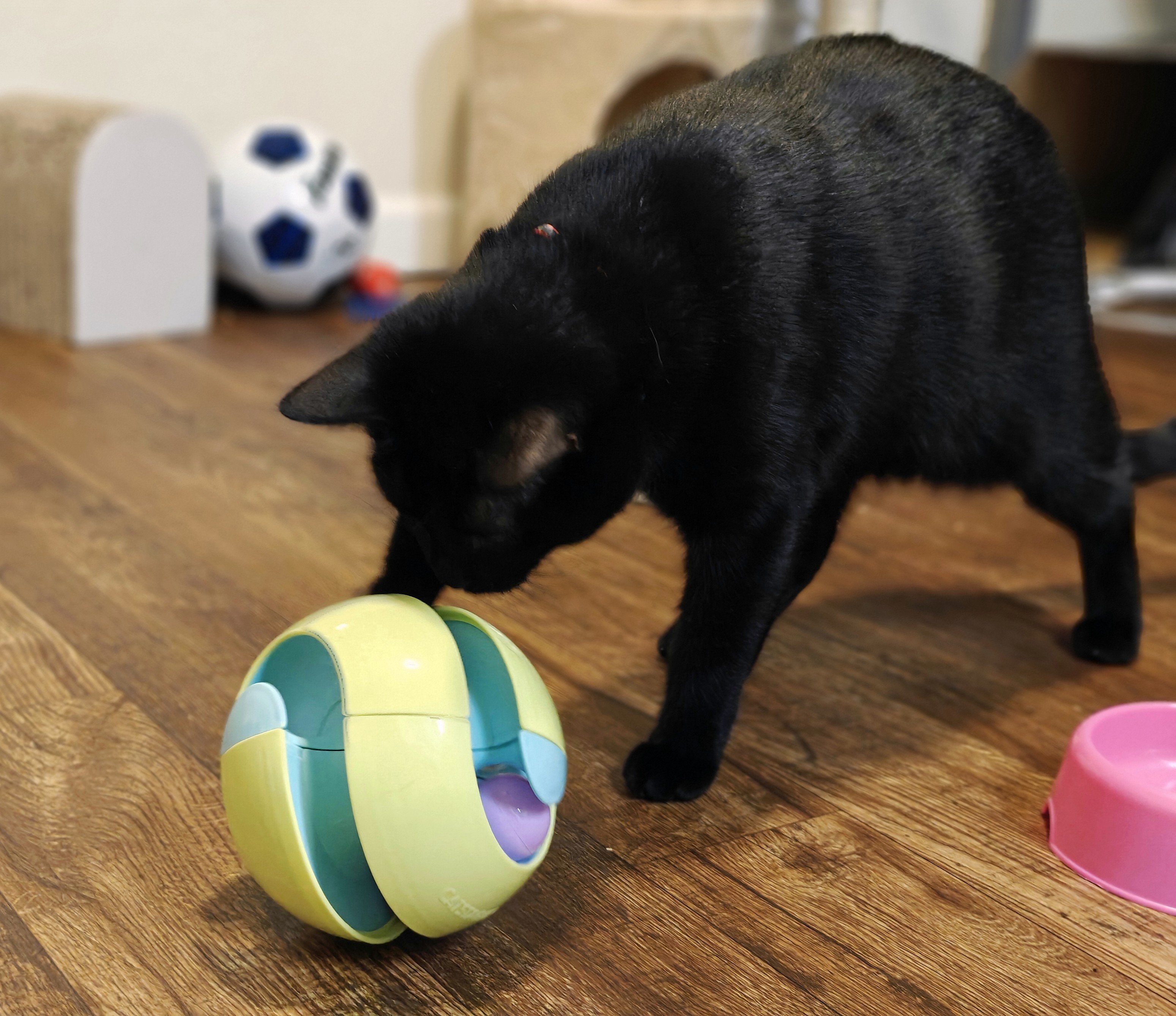 Nia Bickford (@echoparallax@mathstodon.xyz) - Mathstodon