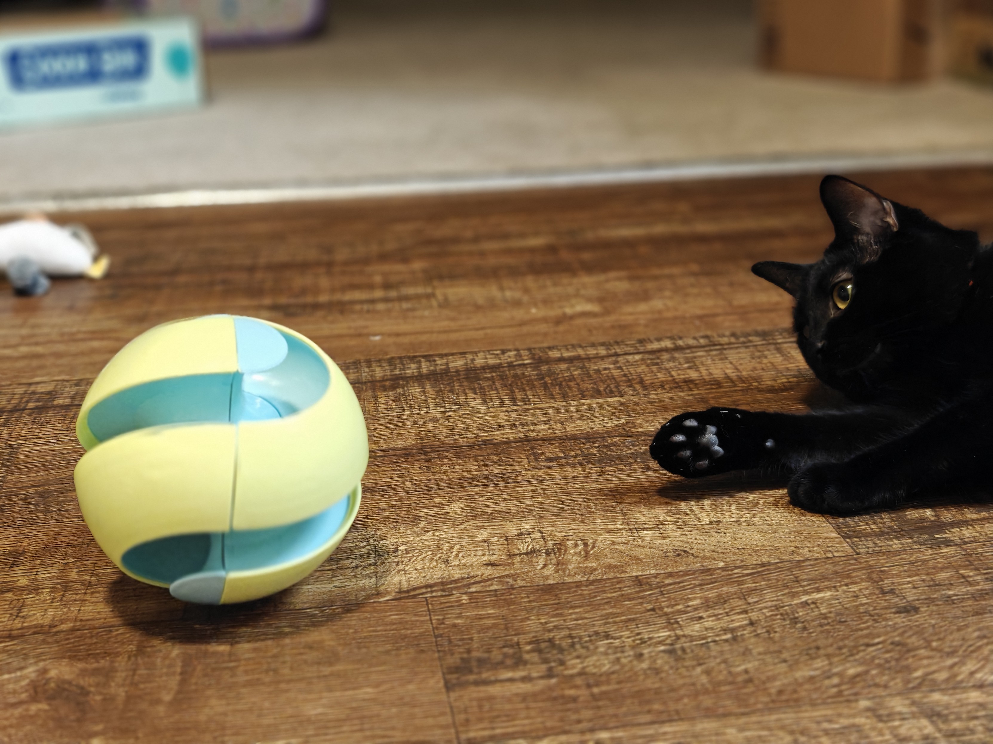 Nia Bickford (@echoparallax@mathstodon.xyz) - Mathstodon